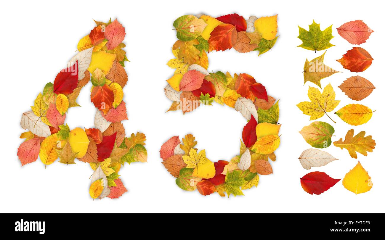 Numbers 4 and 5 made of colorful autumn leaves. Standalone design ...