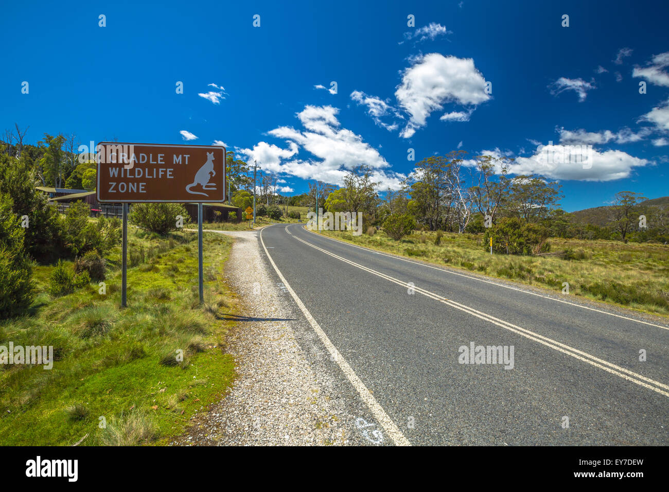 Cradle Mountain Wildlife Zone Stock Photo - Alamy