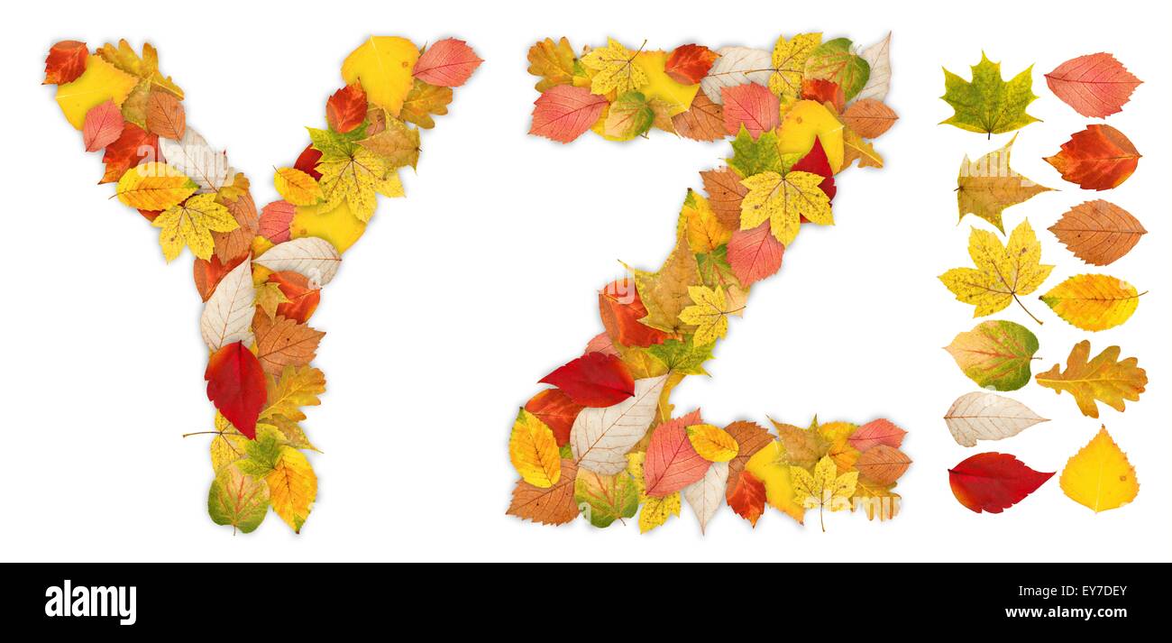 Characters Y and Z made of colorful autumn leaves. Standalone design ...