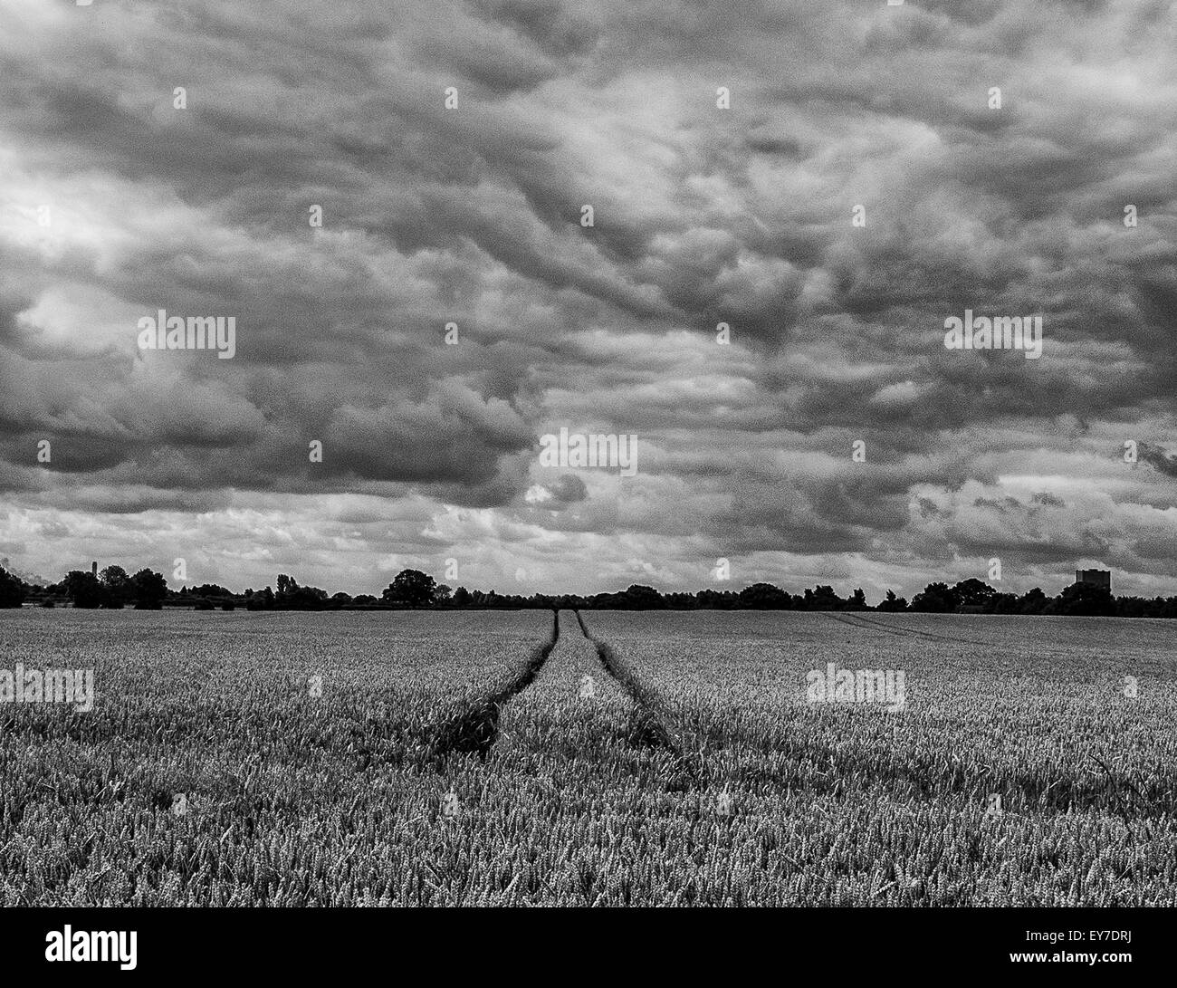 Greenfield in Black and White Stock Photos & Images - Alamy