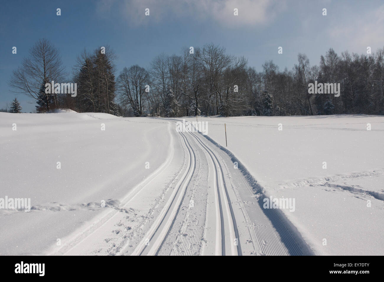 Cross country skiing path Stock Photo - Alamy
