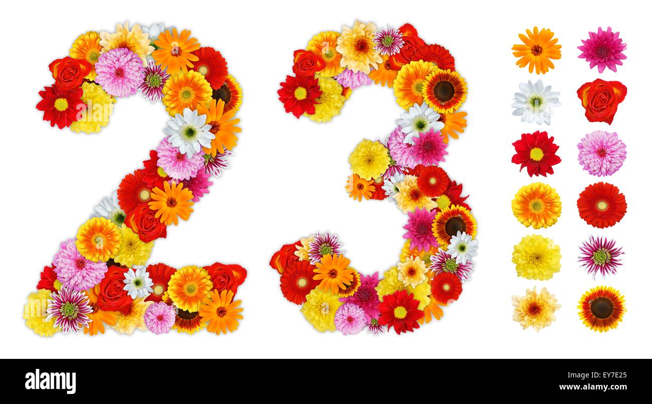 Numbers 2 and 3 made of various flowers. Standalone design elements ...