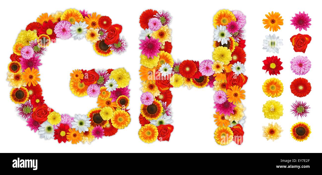 Characters G and H made of various flowers. Standalone design elements ...