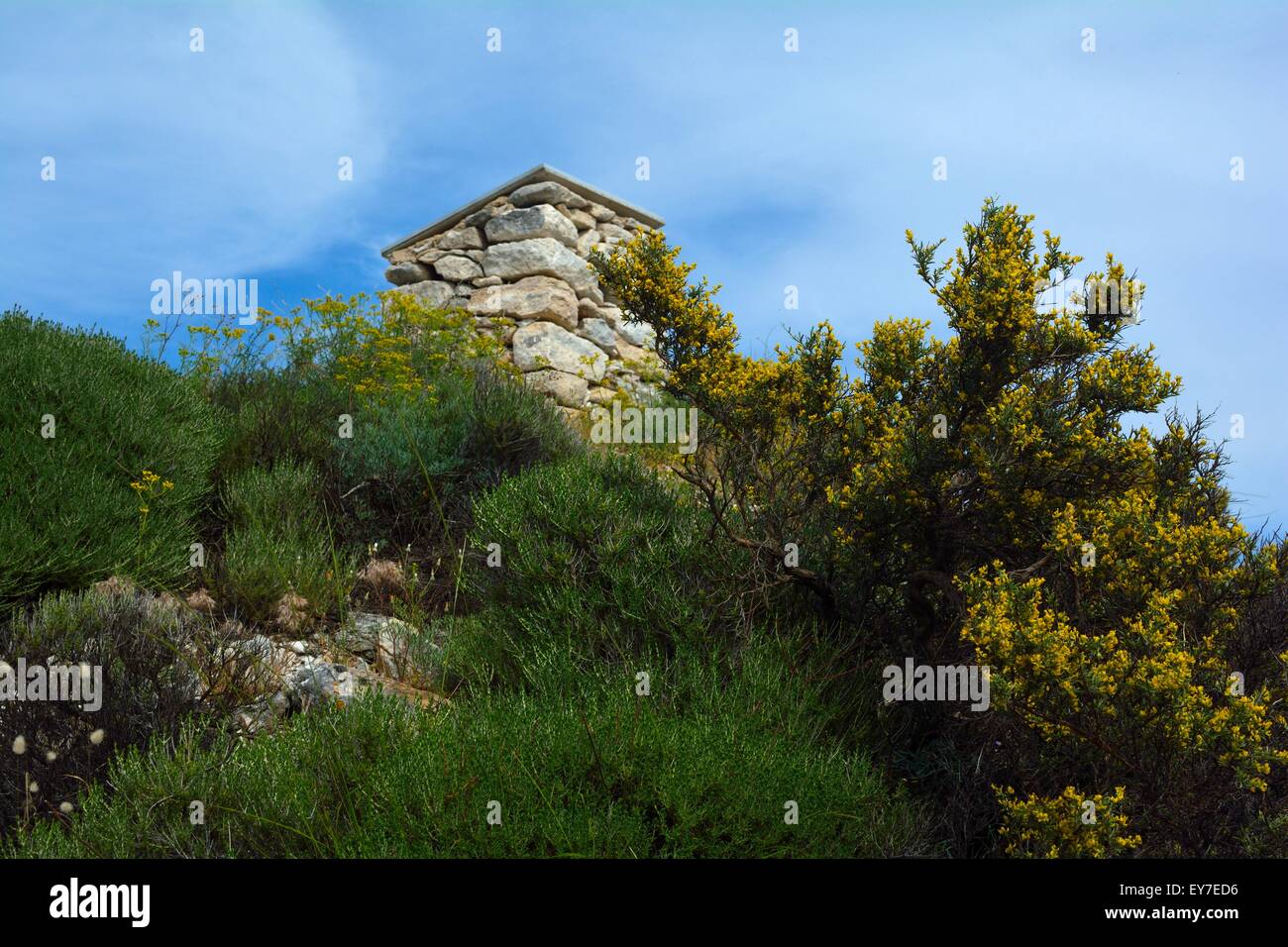 Stone chimney and bush with yellow blossoms Stock Photo - Alamy