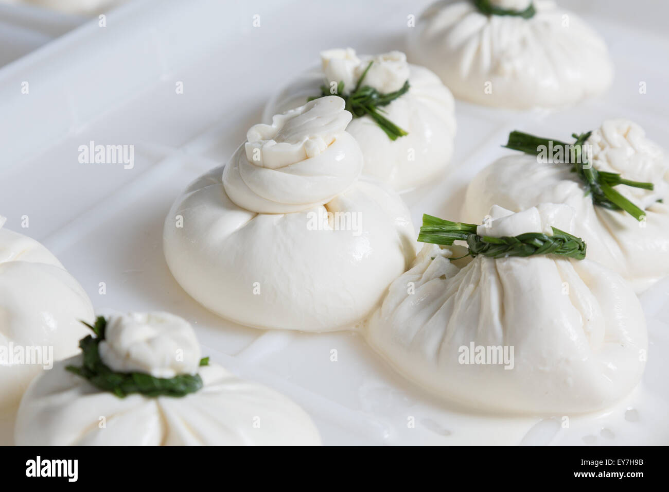 Fresh burrata cheese heads on a production Stock Photo - Alamy