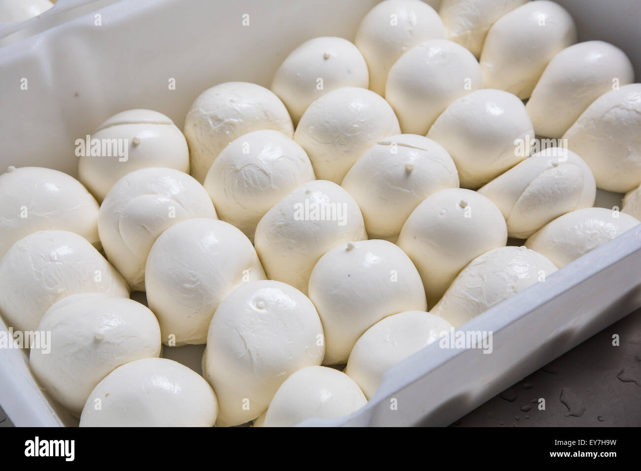 Fresh mozzarella cheese heads lying in a boxes on a production Stock ...