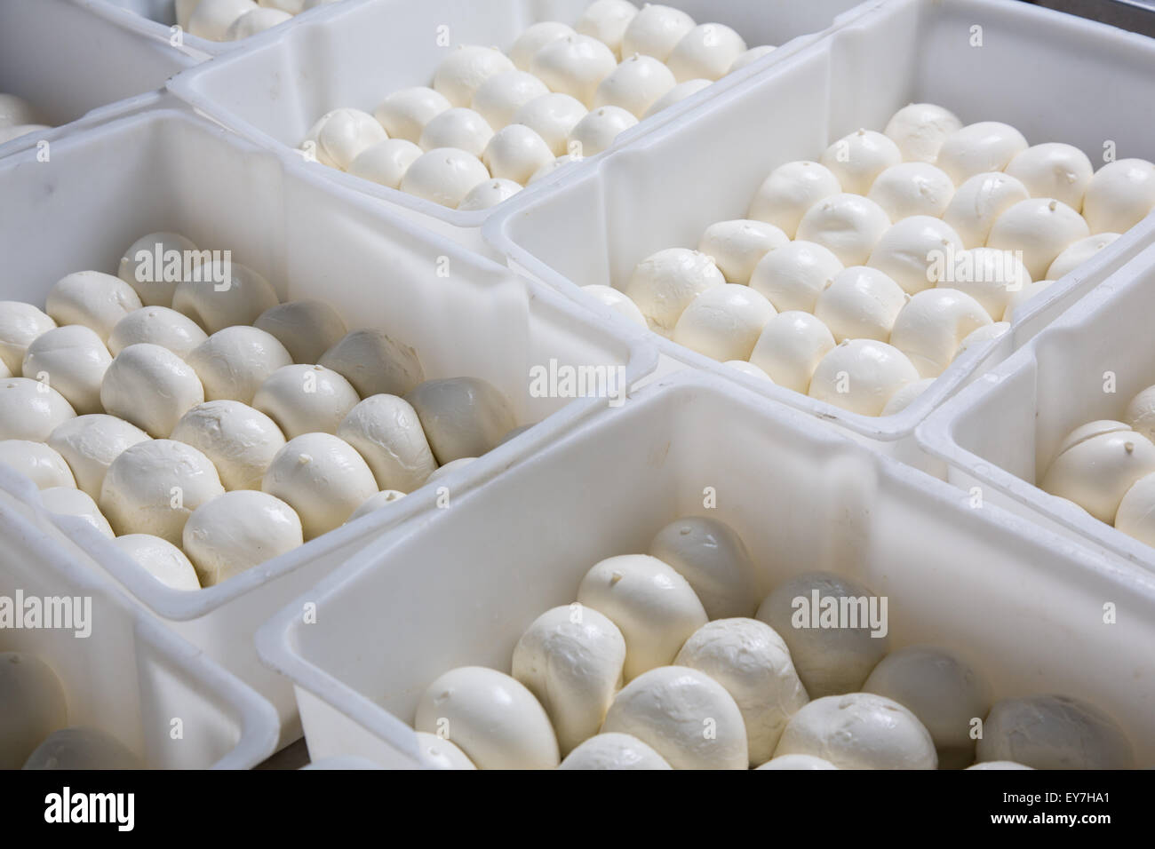 Fresh mozzarella cheese heads lying in a boxes on a production Stock ...