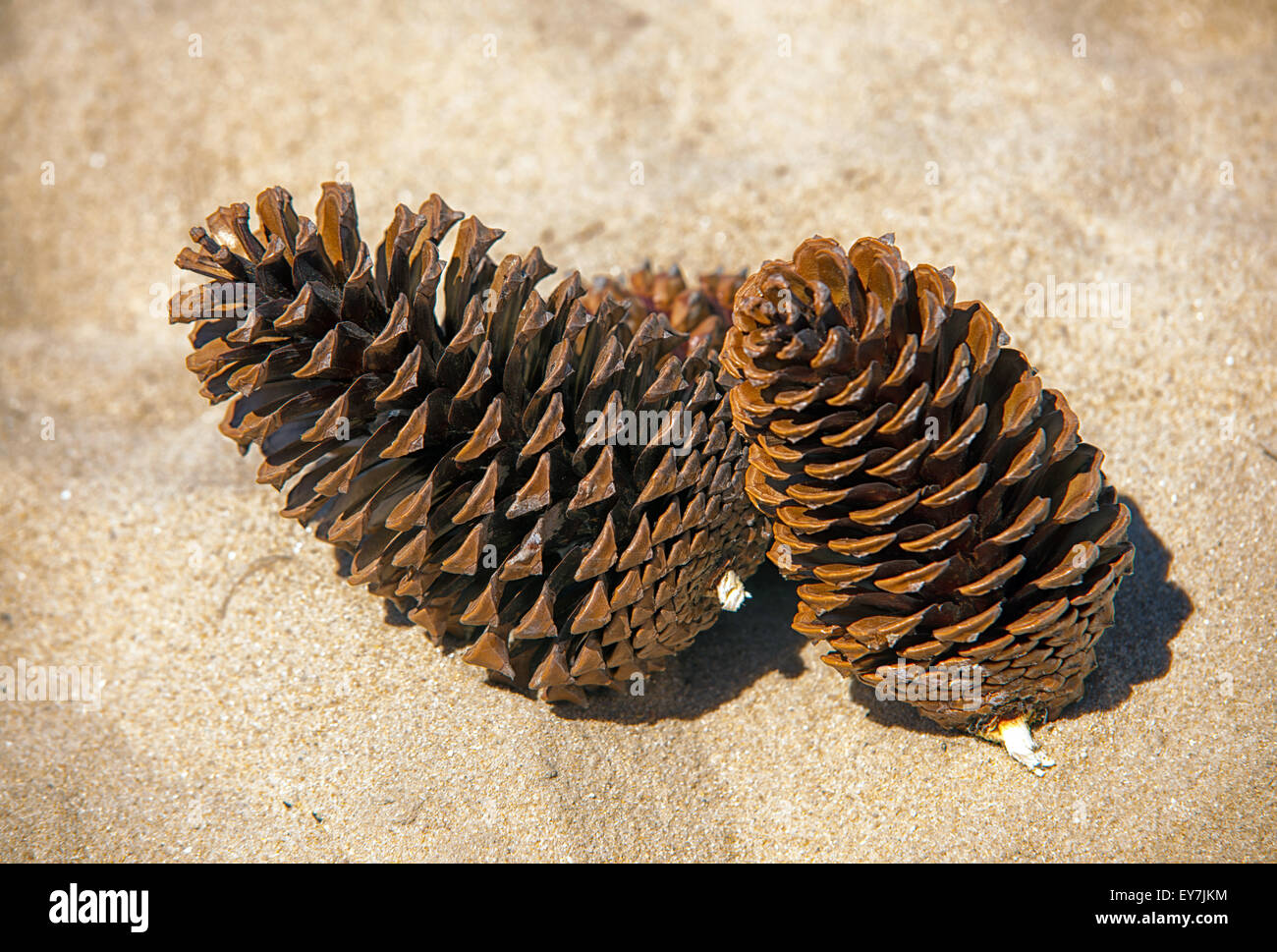 Beautiful bumps hi-res stock photography and images - Alamy