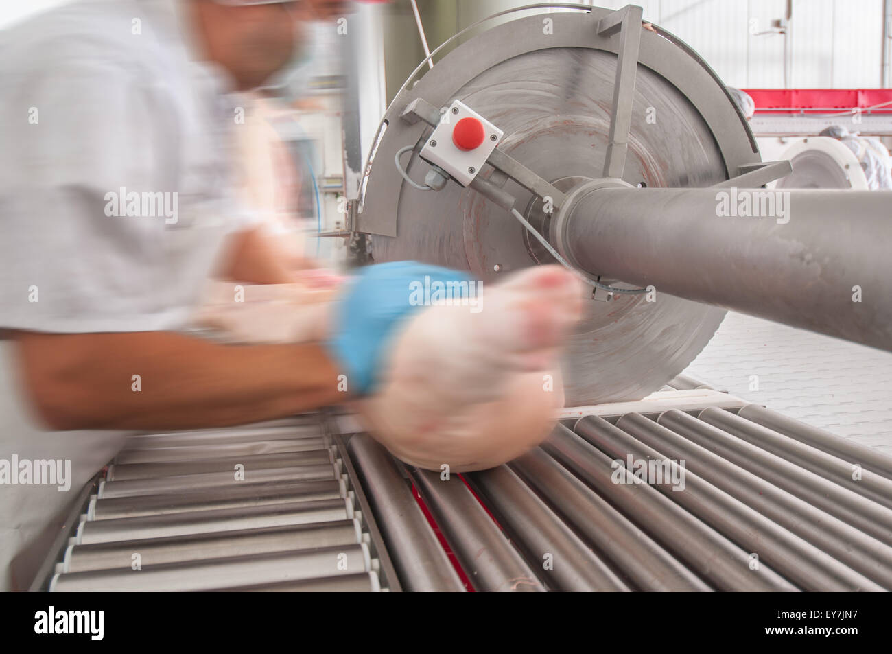 close up of meat processing in food industry Stock Photo - Alamy
