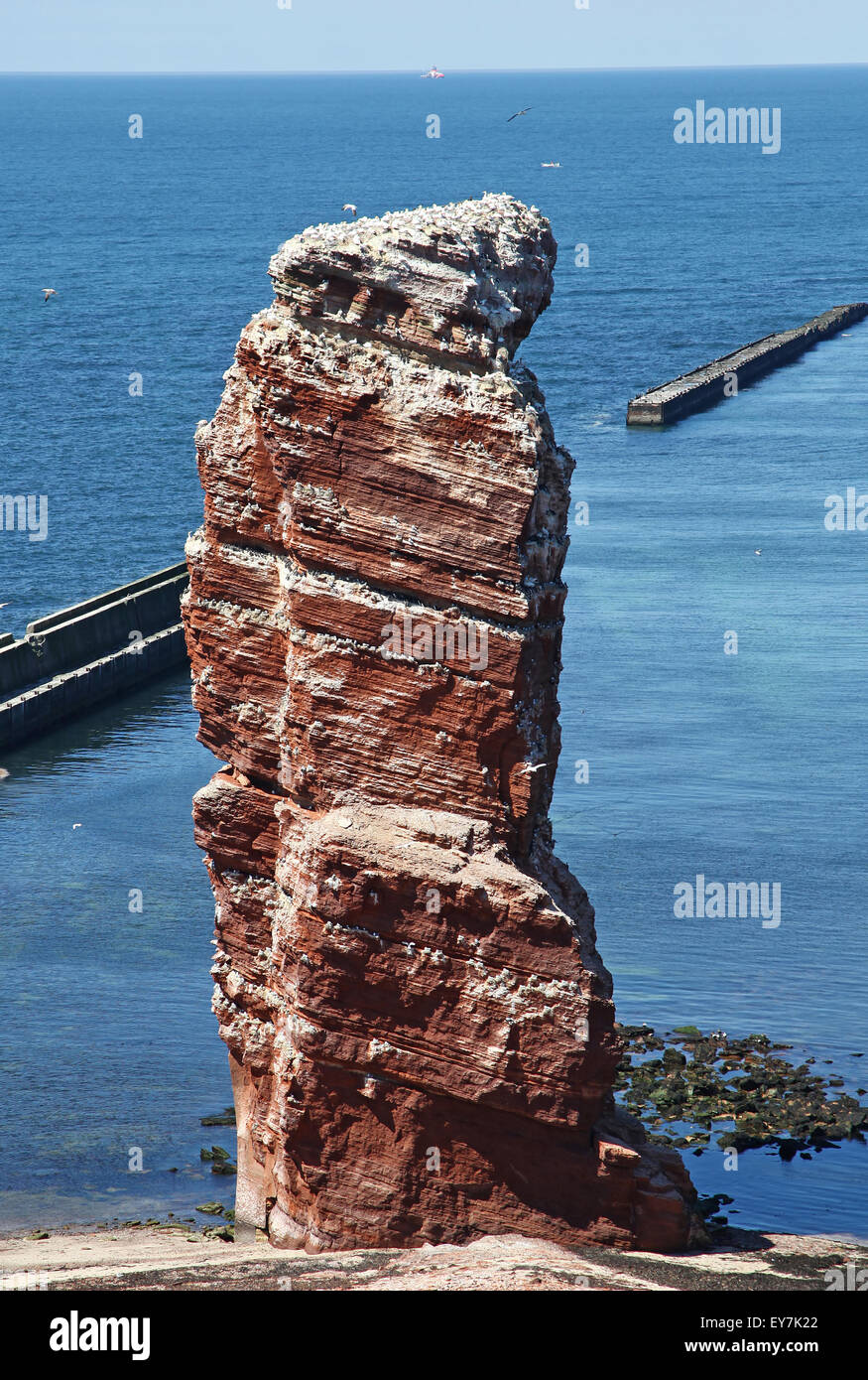 Lange Anna on famous Island Heligoland, Germany Stock Photo - Alamy