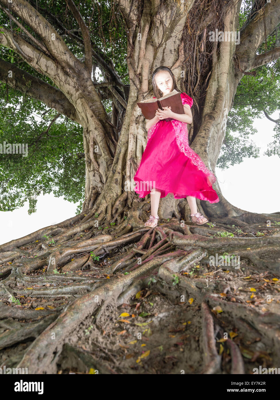 Young child reading glowing book next to a tree Stock Photo - Alamy