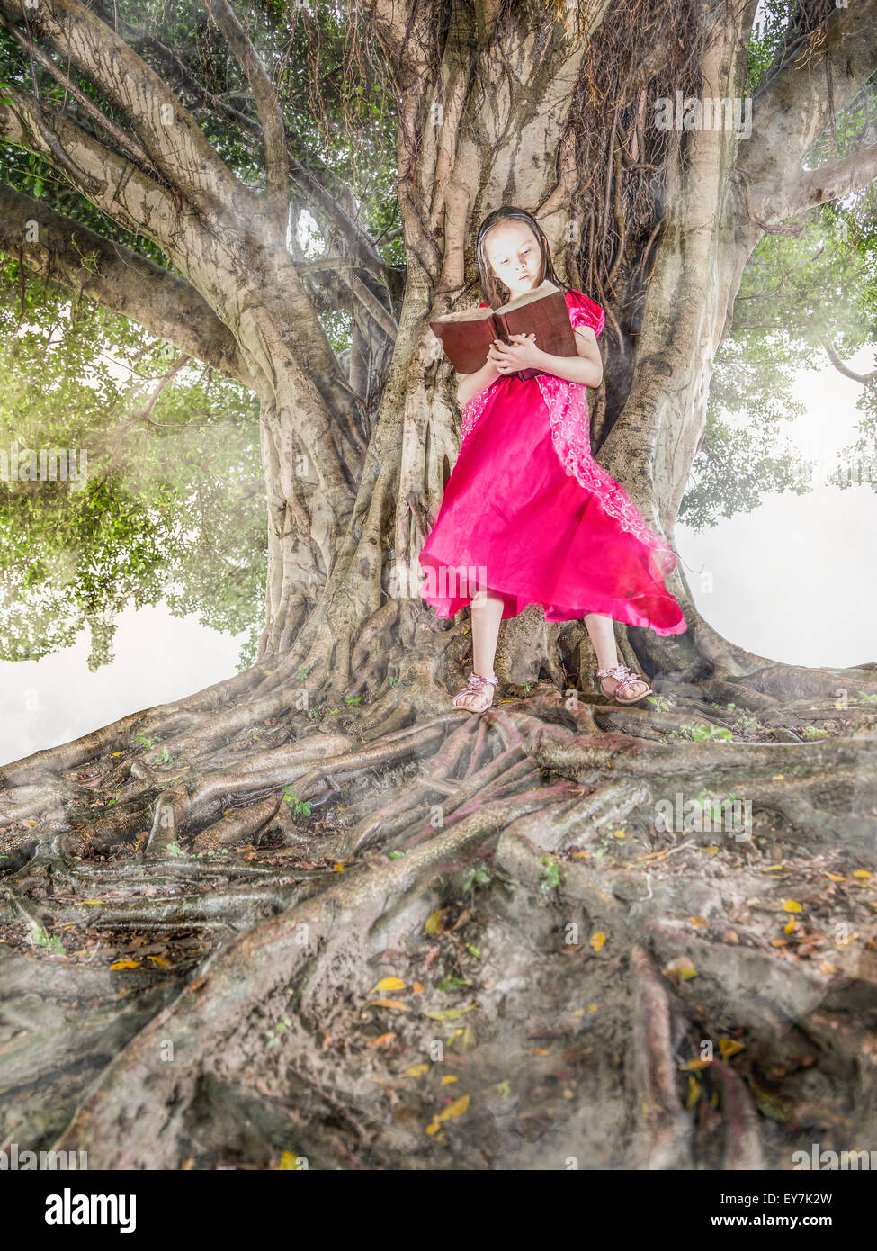 Reading fantasy book child hi-res stock photography and images - Alamy
