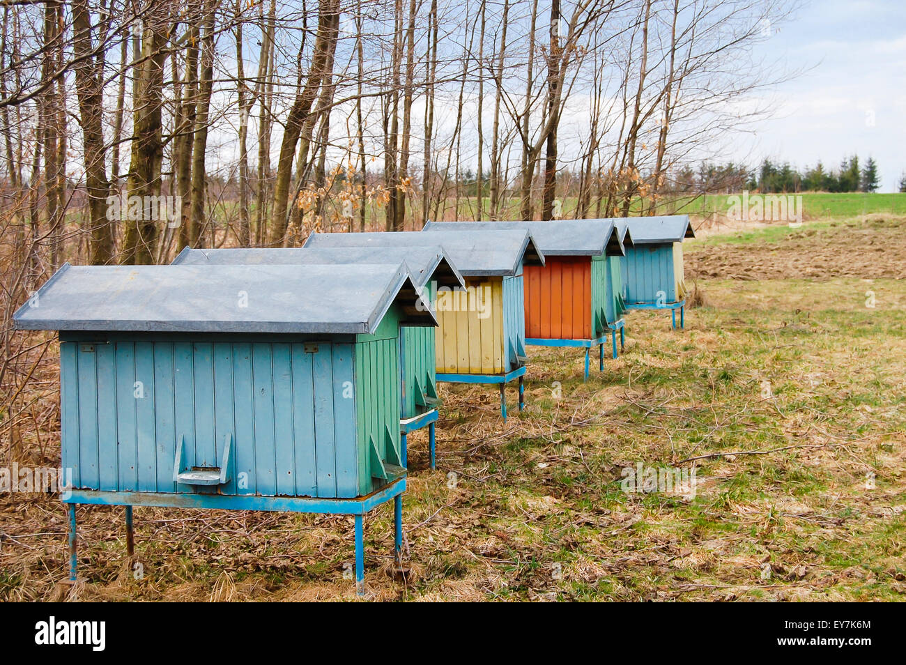 Bee hives traditional hi-res stock photography and images - Alamy