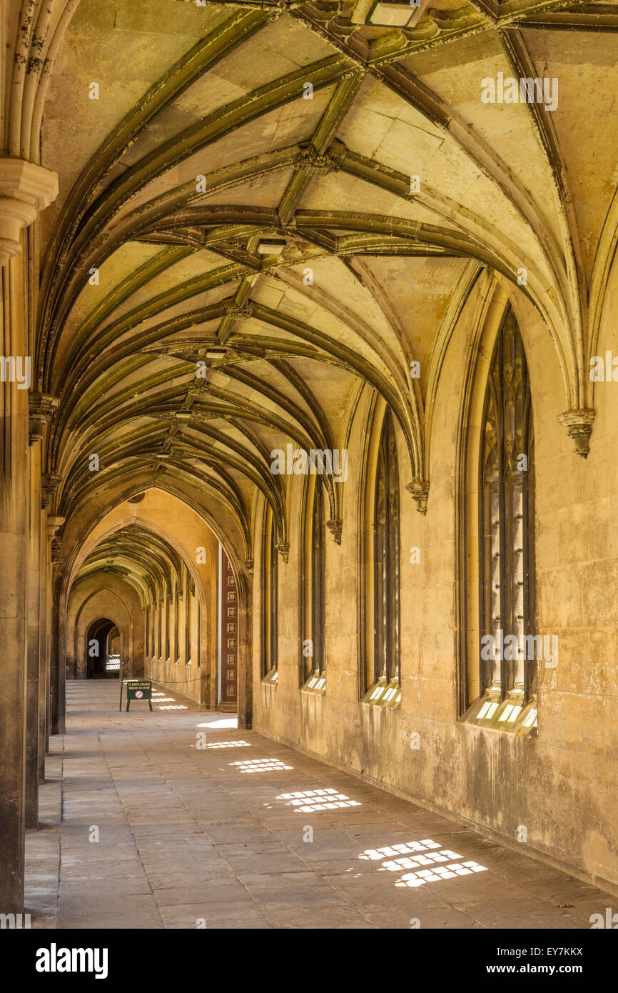 Cloisters of New Court St Johns College Cambridge university Cambridge ...