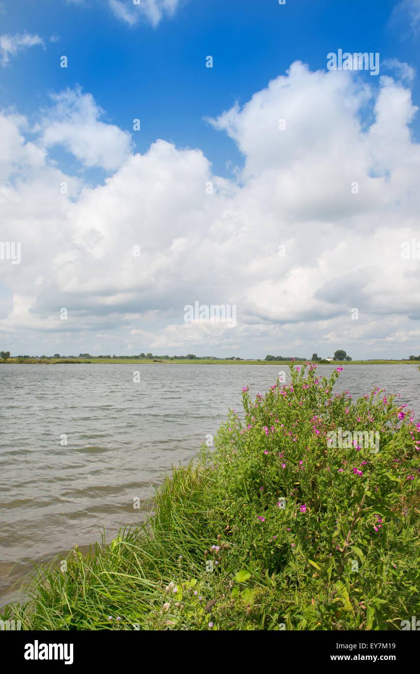 Nederrijn river hi-res stock photography and images - Alamy