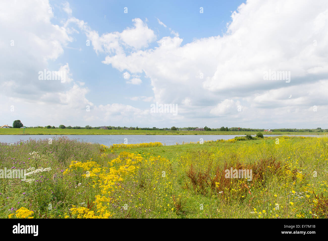 Nederrijn river hi-res stock photography and images - Alamy