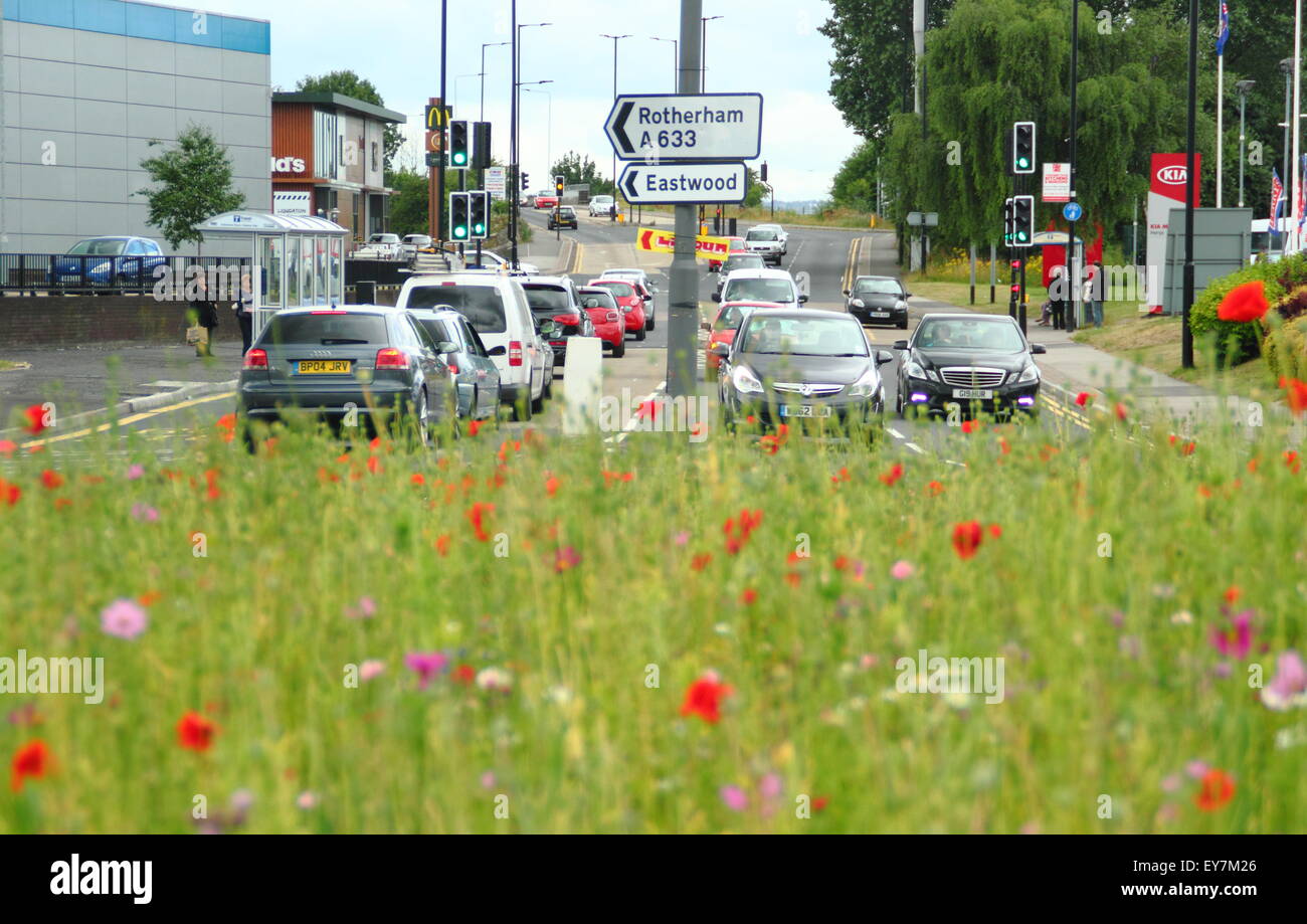 Traffic navigates a roundabout brimming with sown wildflowers in the ...