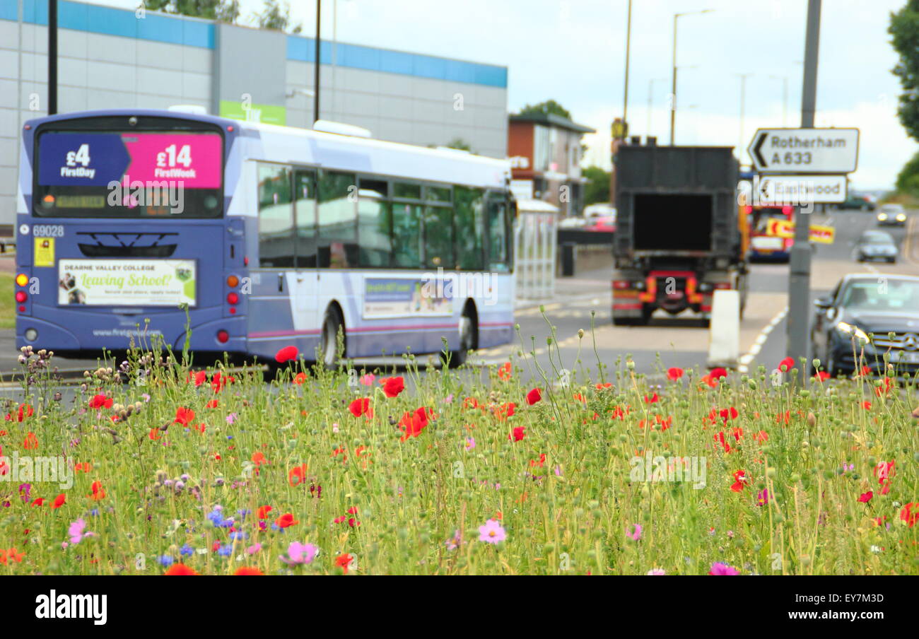 Traffic navigates a roundabout sown with wildflowers in Parkgate ...