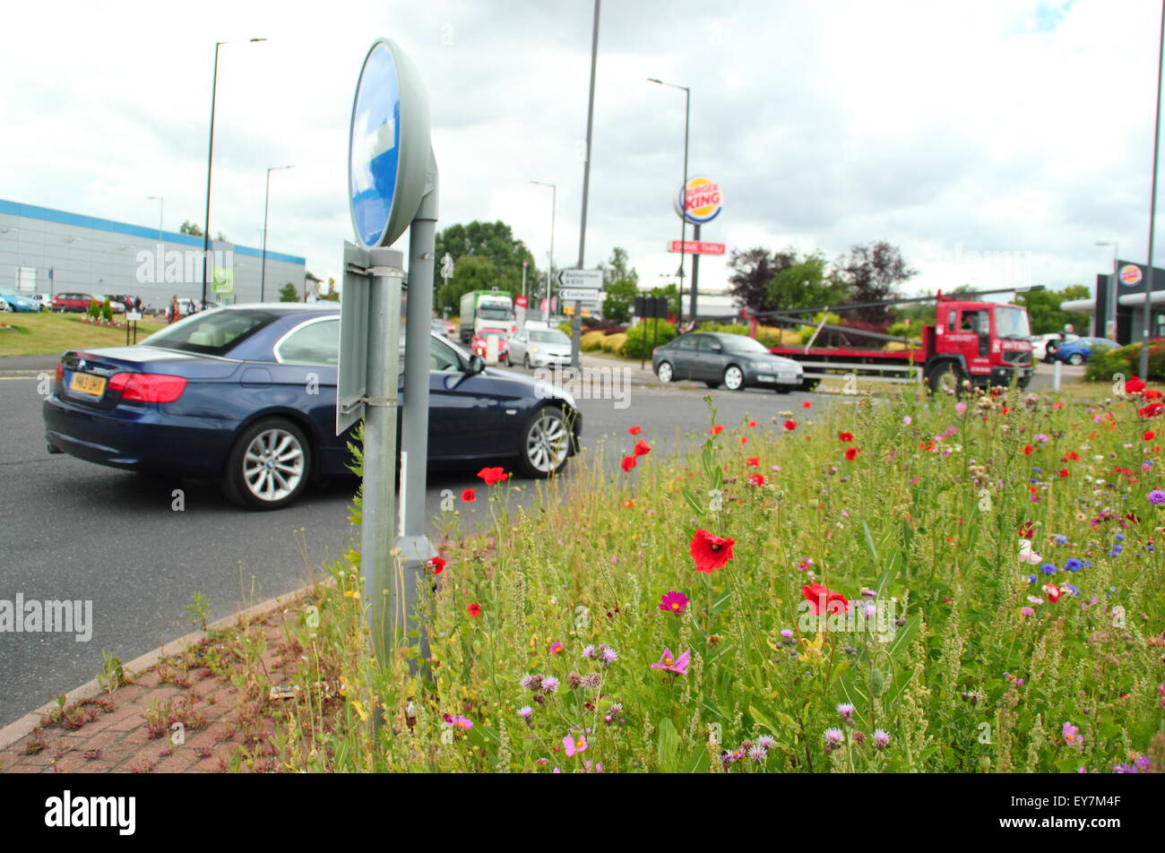 River of flowers rotherham hi-res stock photography and images - Alamy