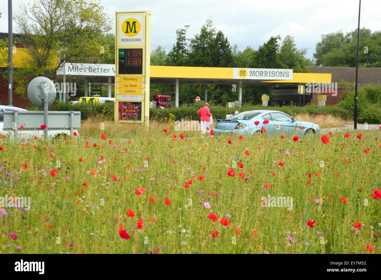 Roundabout uk flowers hi-res stock photography and images - Alamy