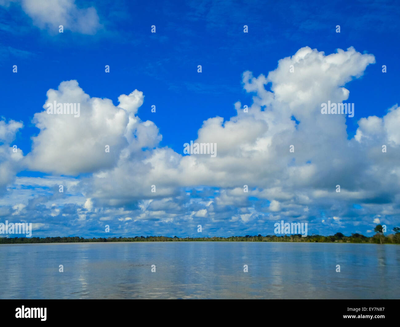 Amazon ecosystem biodiversity hi-res stock photography and images - Alamy