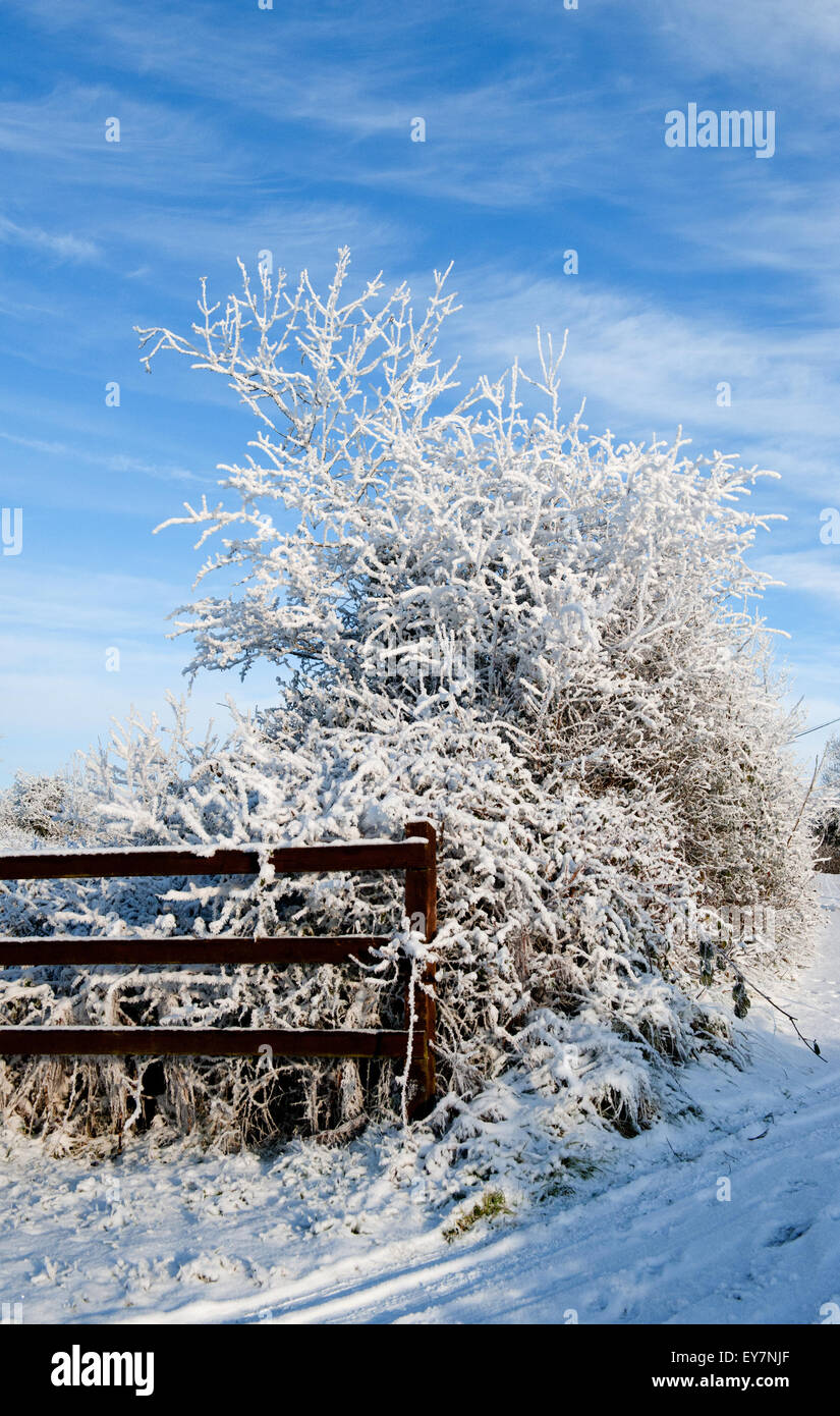 Beautiful winter day in the country side Stock Photo - Alamy