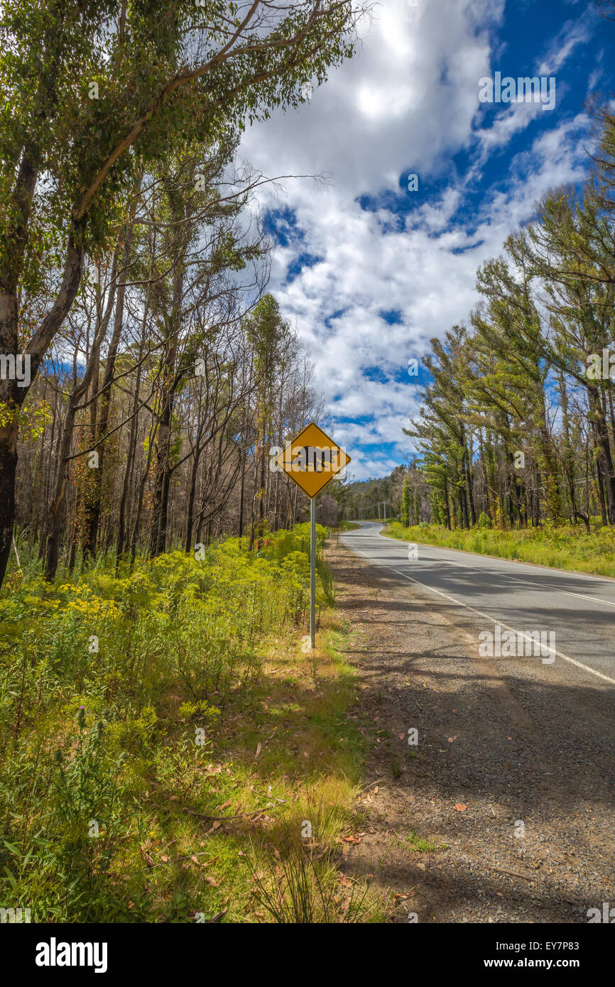 Tasmanian Devil sign Stock Photo - Alamy