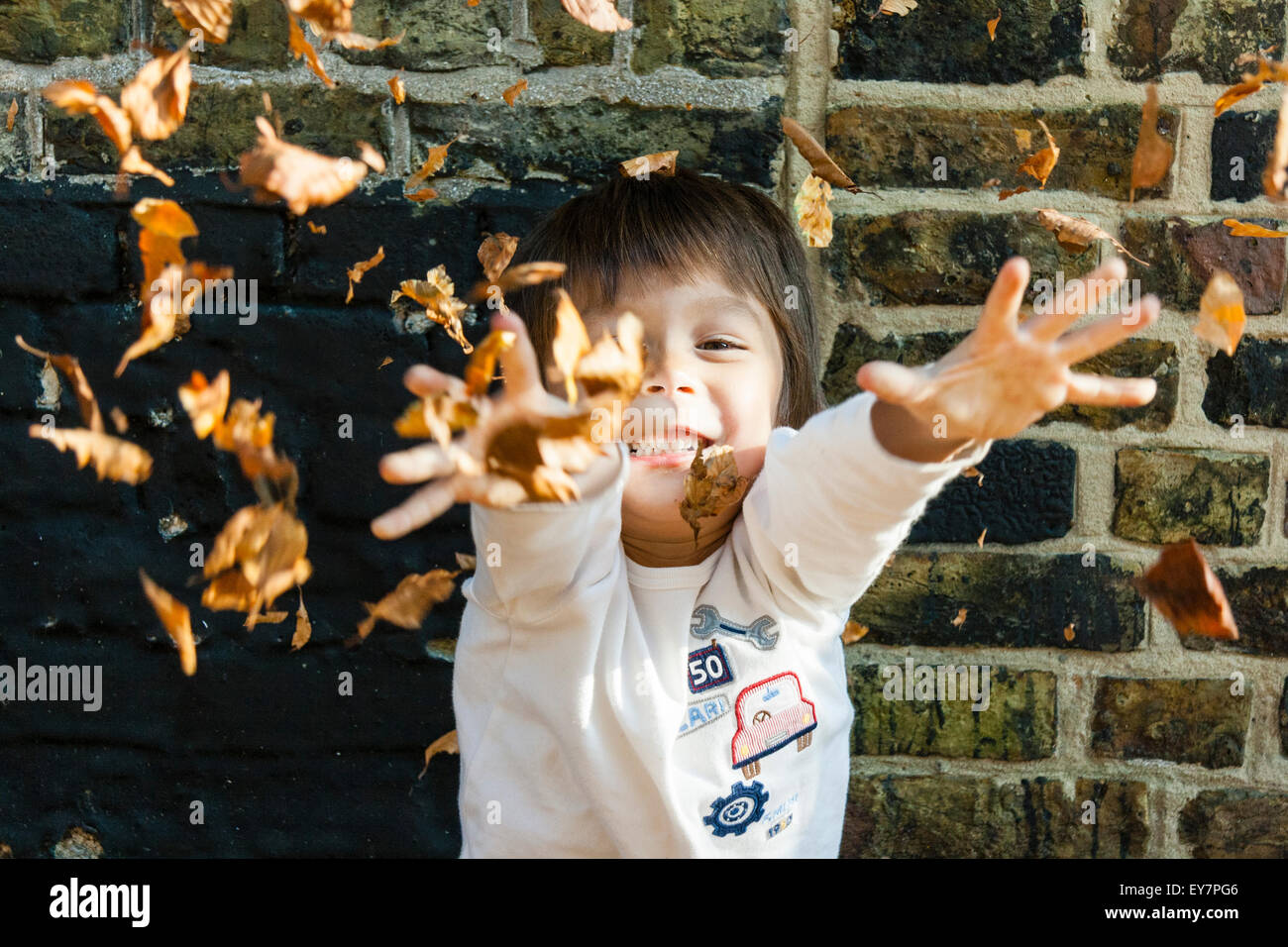 Caucasian child, boy, 5-6 year old, throwing handfuls of leaves at ...