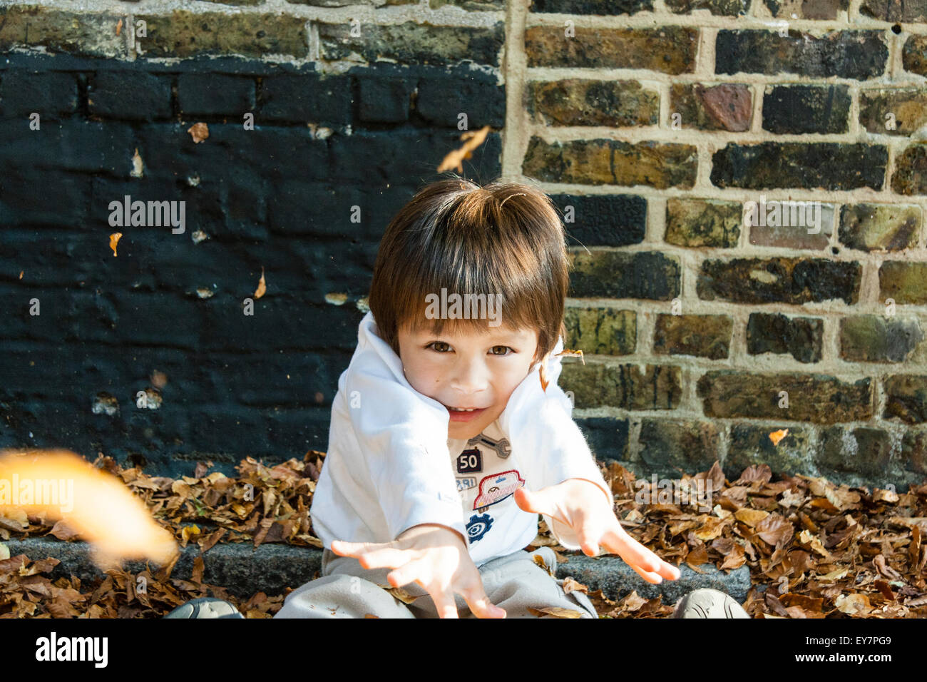 Caucasian child, boy, 5-6 year old, throwing handfuls of leaves at ...