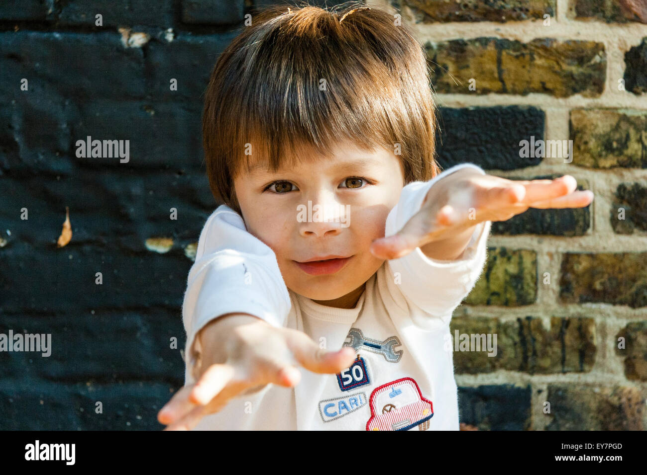 Caucasian child, boy, 5-6 year old, throwing handfuls of leaves at ...