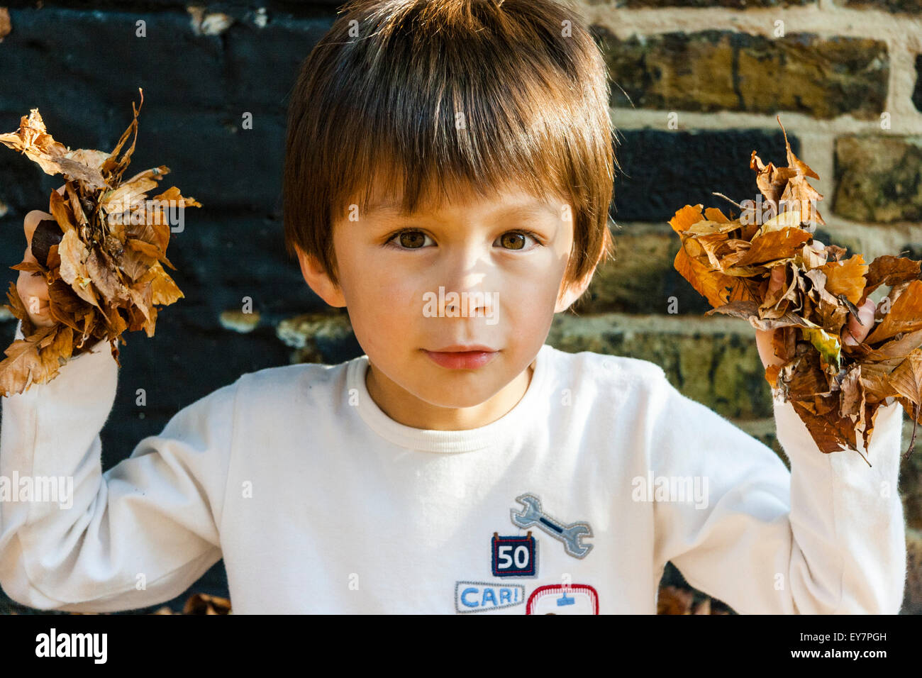 Caucasian child, boy, 5-6 year old, throwing handfuls of leaves at ...