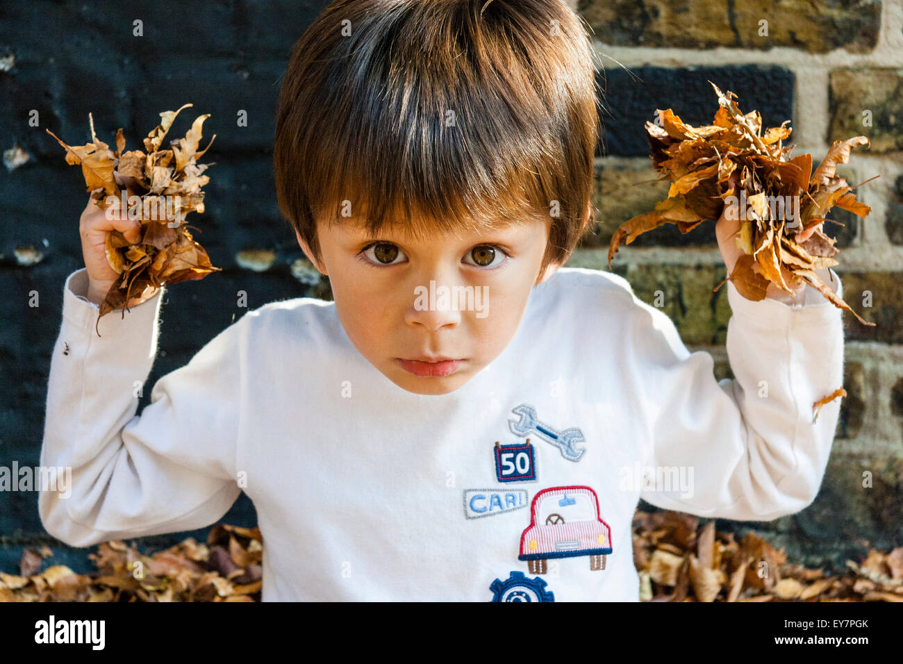 Caucasian child, boy, 5-6 year old, throwing handfuls of leaves at ...