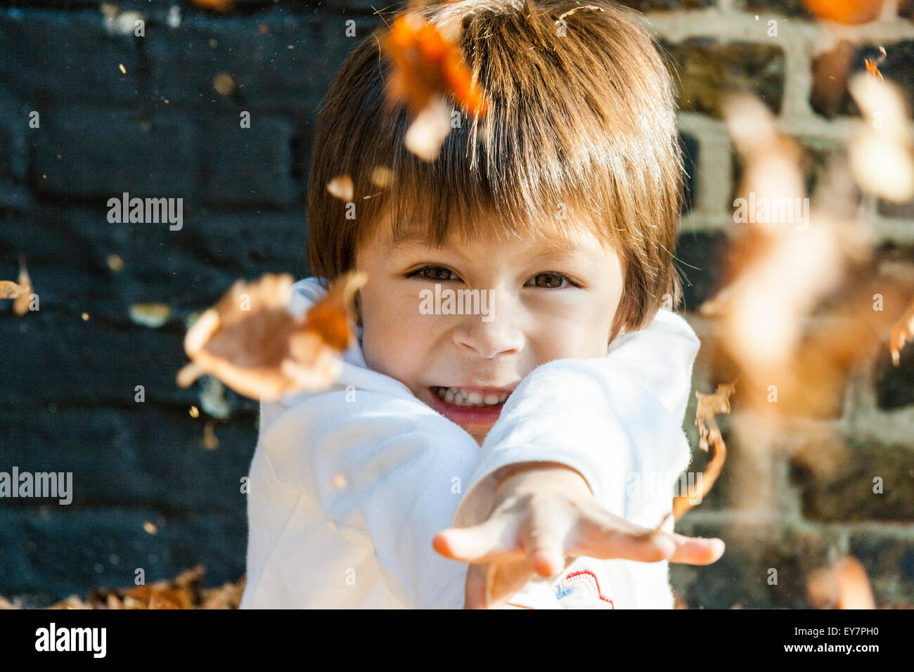 Caucasian child, boy, 5-6 year old, throwing handfuls of leaves at ...