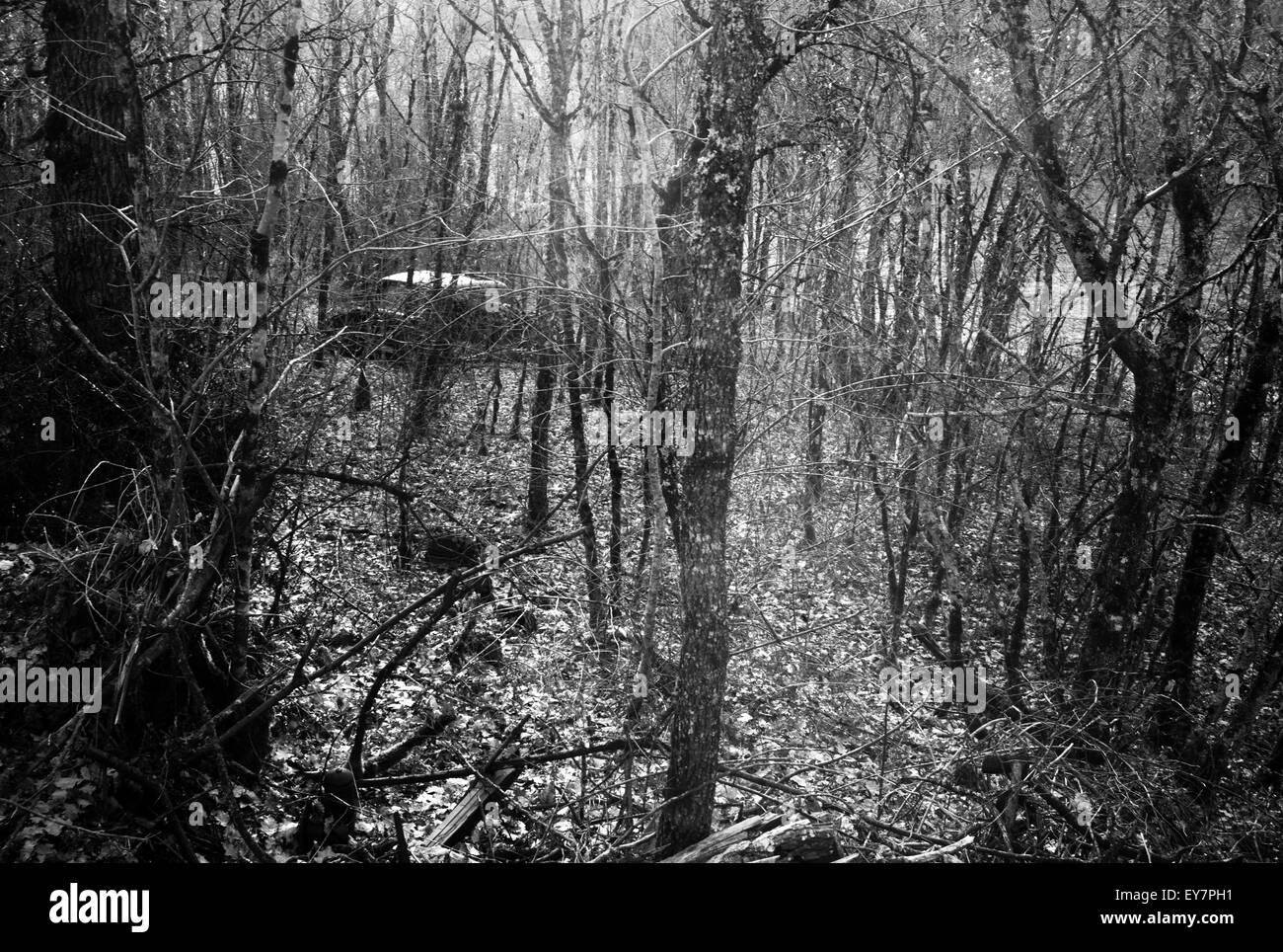 Car parked in green Black and White Stock Photos & Images - Alamy