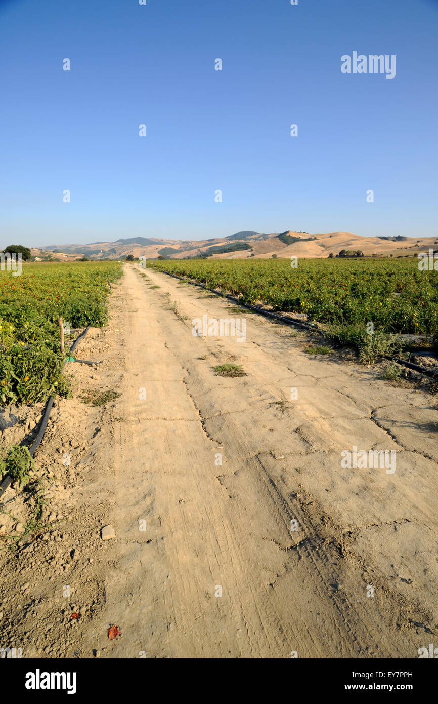 Unpaved pathways hi-res stock photography and images - Alamy