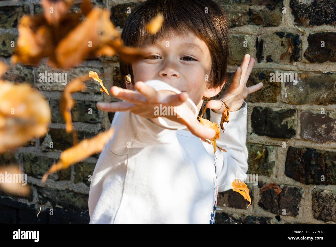 Caucasian child, boy, 5-6 year old, throwing handfuls of leaves at ...