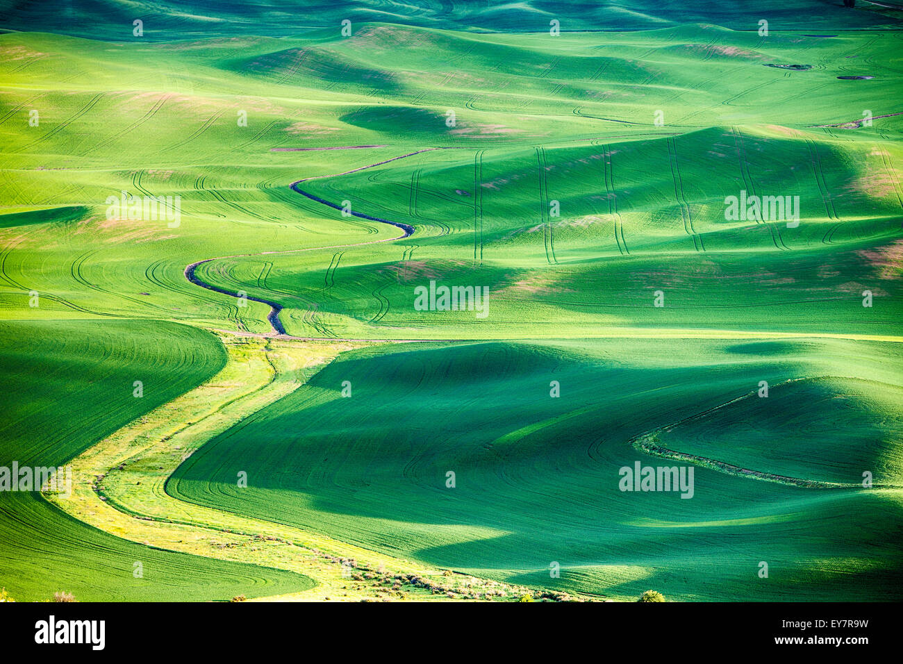 Palouse wheat fields in hi-res stock photography and images - Alamy