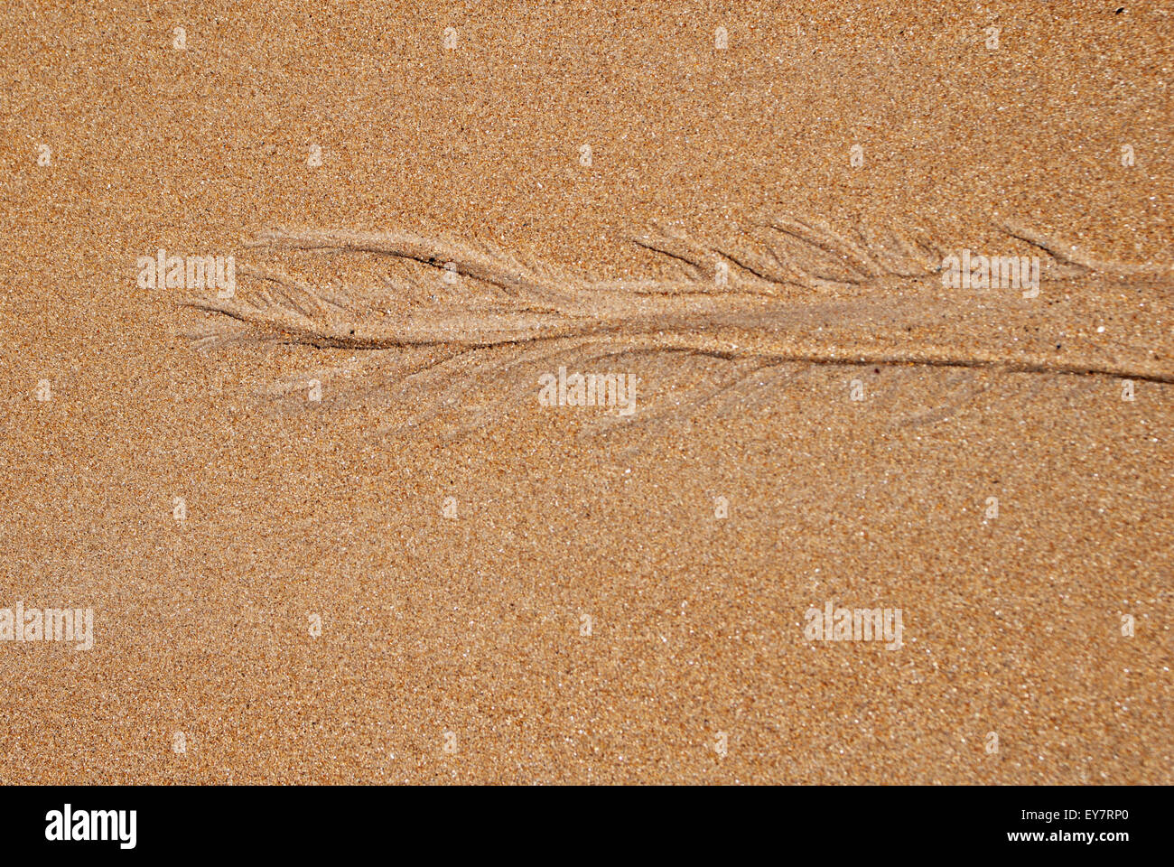 Patterns in the sand / Water courses Stock Photo - Alamy
