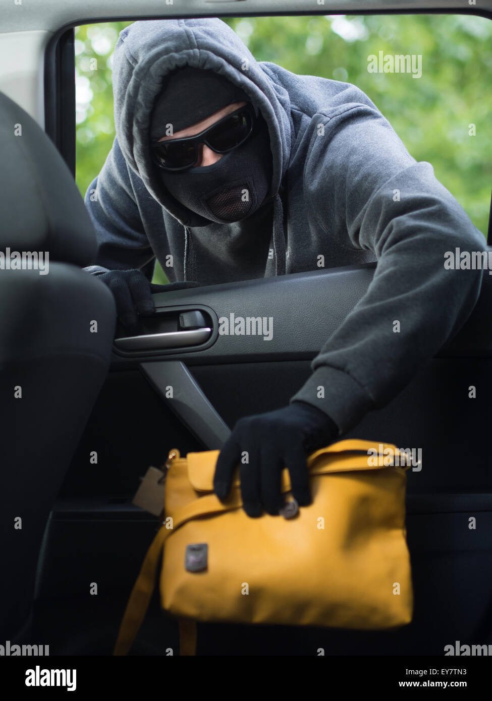 Steal theft juvenile delinquency hi-res stock photography and images ...