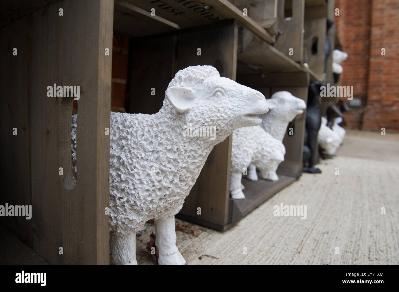 White painted sculptured sheep on display in wooden boxes Stock Photo ...