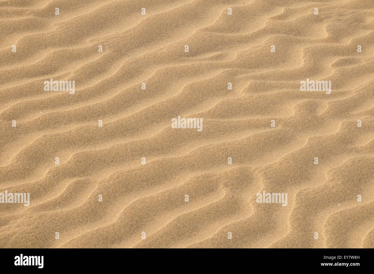 Sand Dune Desert Texture Stock Photo - Alamy