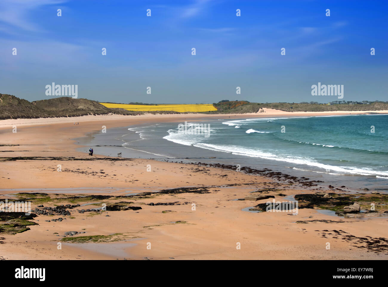 Embleton Bay, Northumberland Stock Photo - Alamy