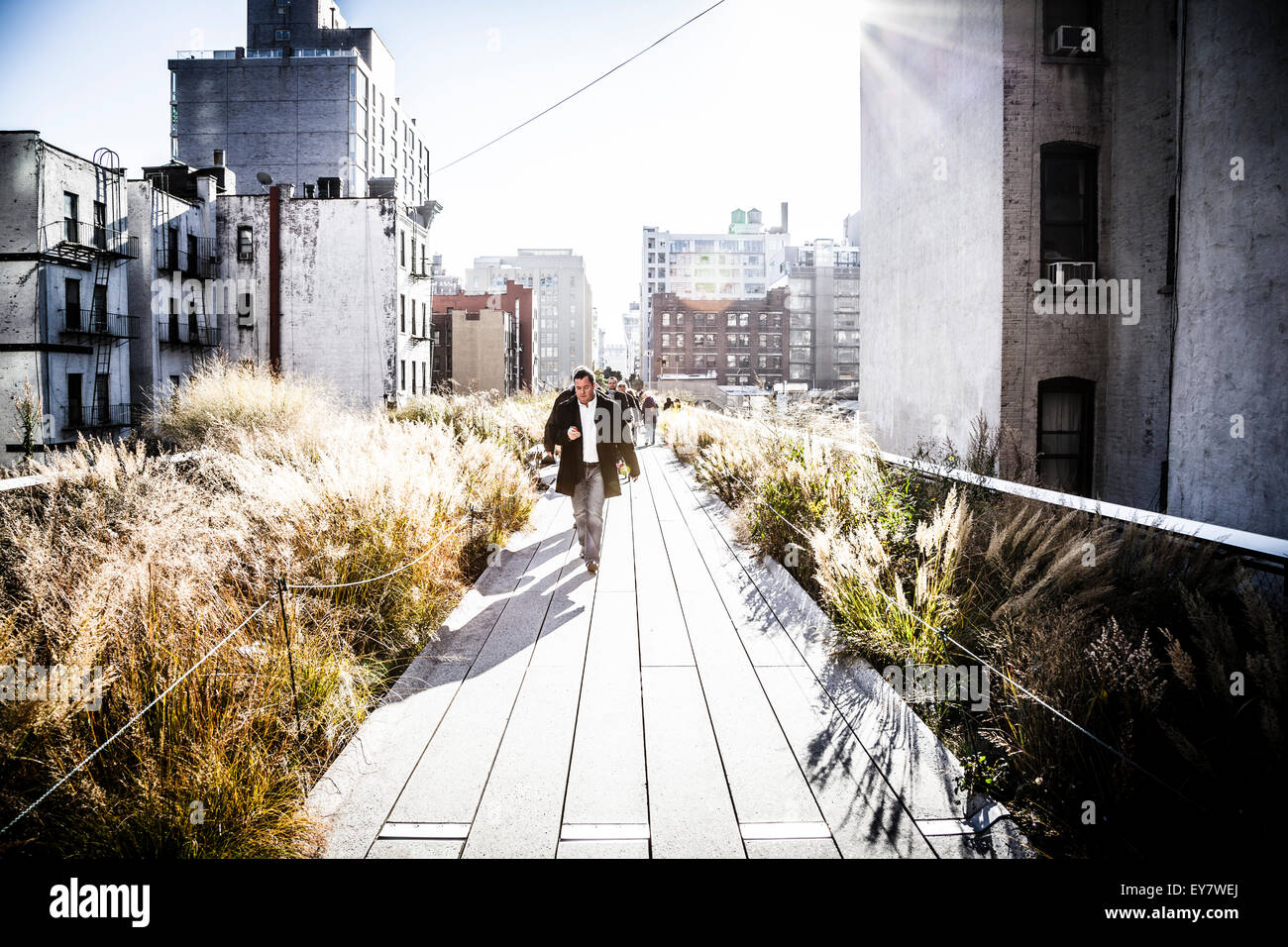 High Line Park in NYC. The High Line is a public park built on an historic freight rail line ...