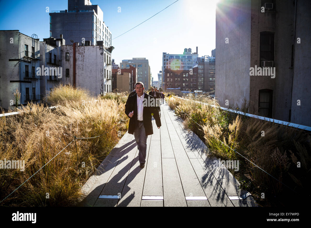 High Line Park in NYC. The High Line is a public park built on an historic freight rail line ...