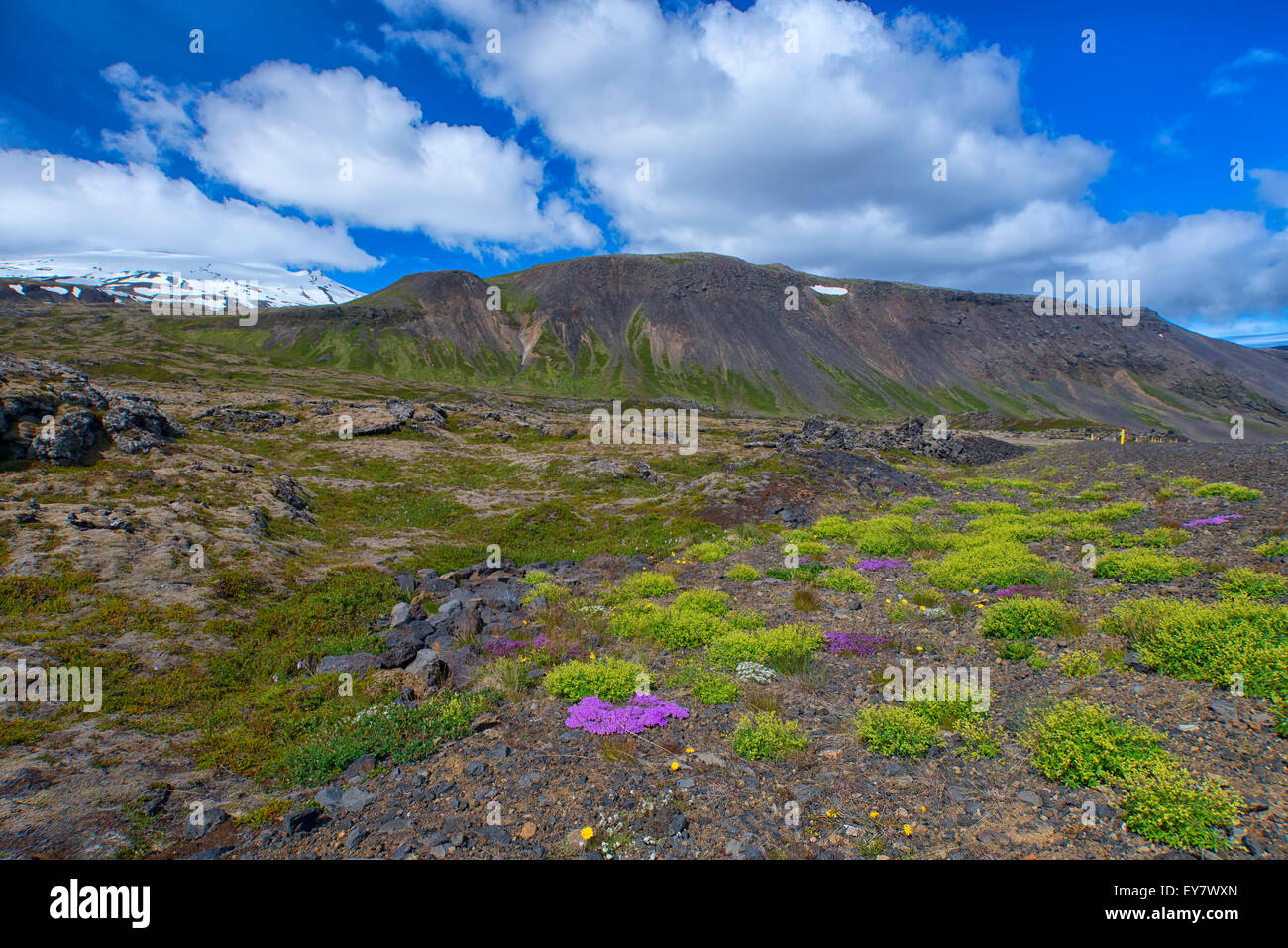 Snaefellsjokull National Park, Iceland Stock Photo - Alamy