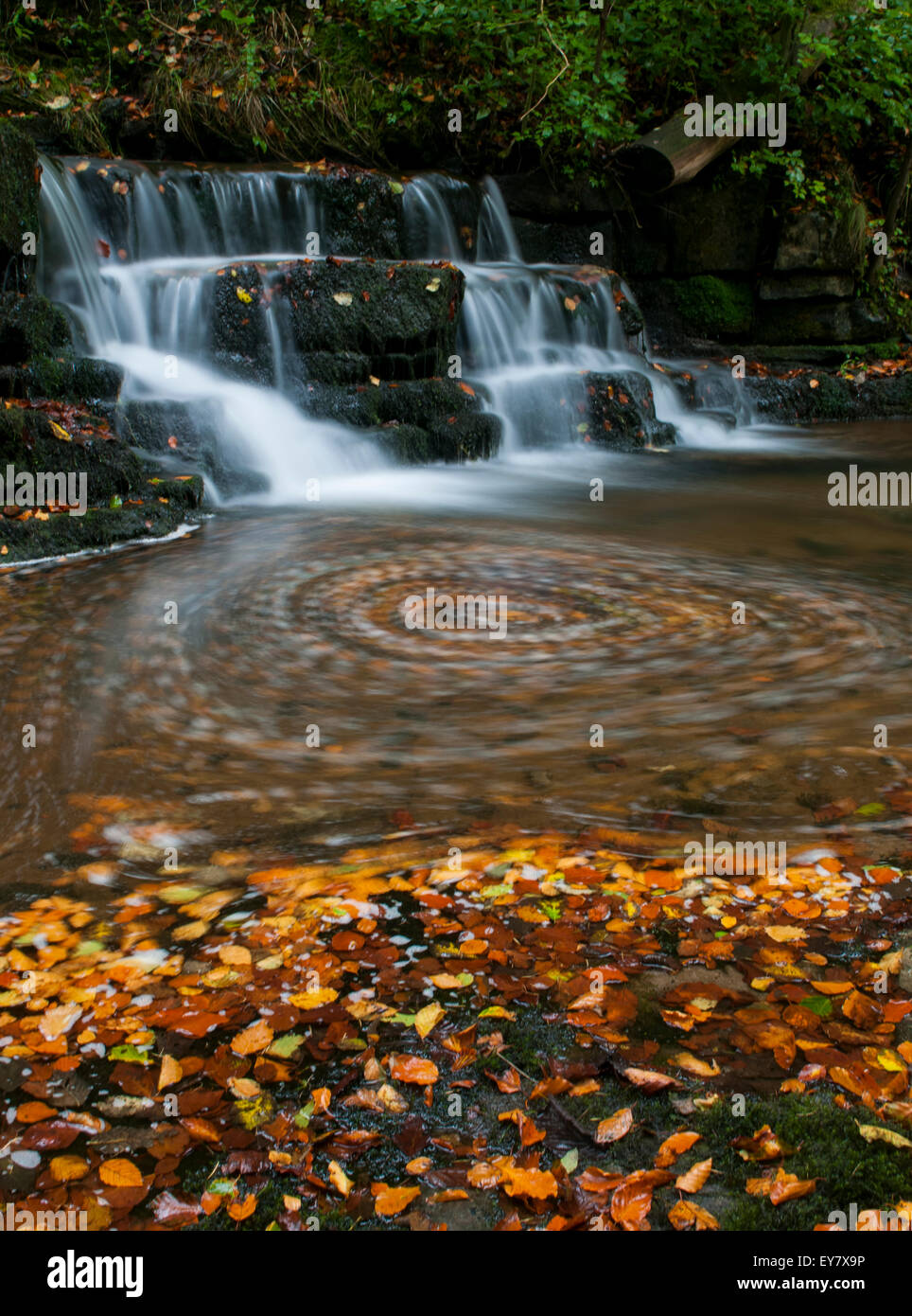 Autumnal waterfall scene, Scaleber Force, Leeds, United Kingdom Stock ...