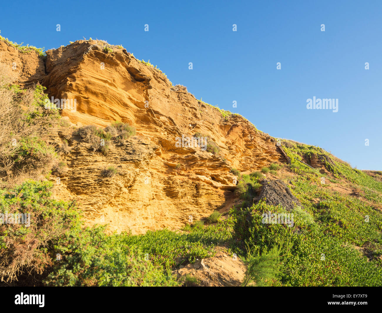 yellow rock sediments. Stratification of yellow stone Stock Photo - Alamy