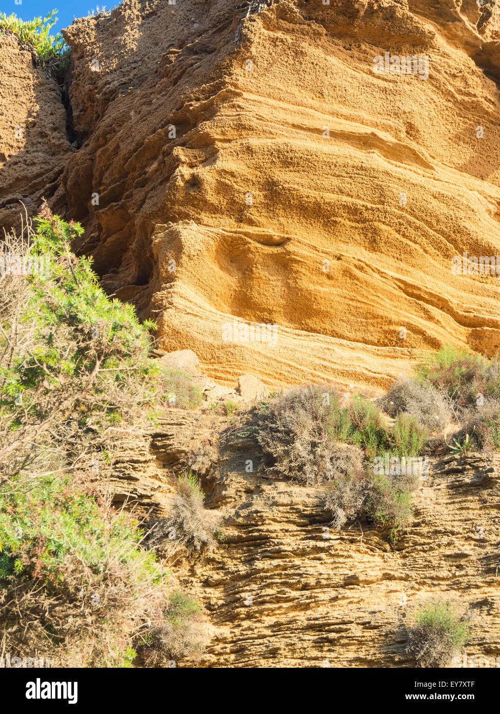 yellow rock sediments. Stratification of yellow stone Stock Photo - Alamy