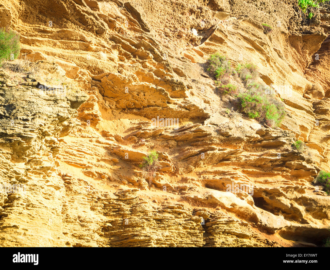 yellow rock sediments. Stratification of yellow stone Stock Photo - Alamy