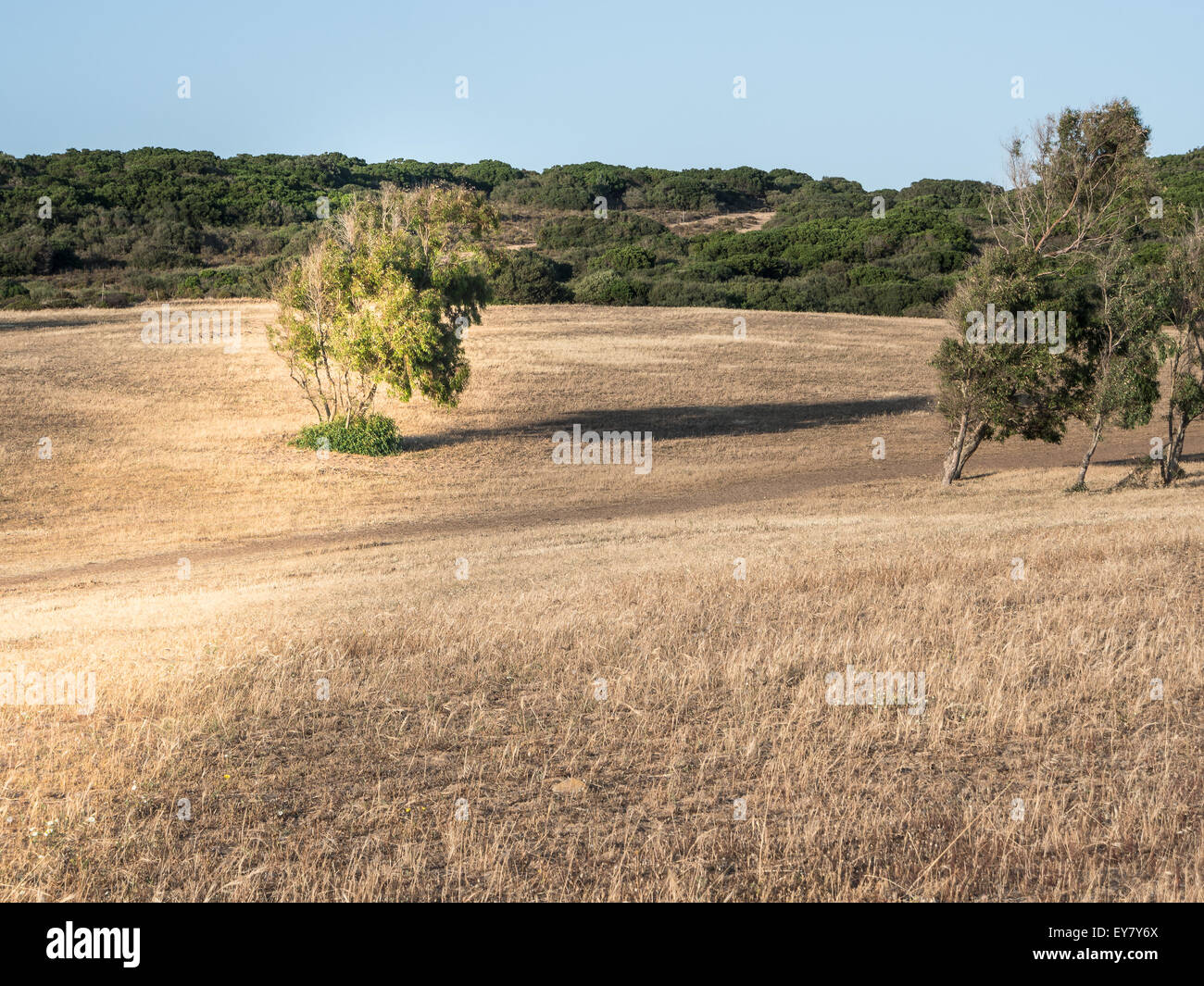 Sardinian countryside in italy hi-res stock photography and images - Alamy